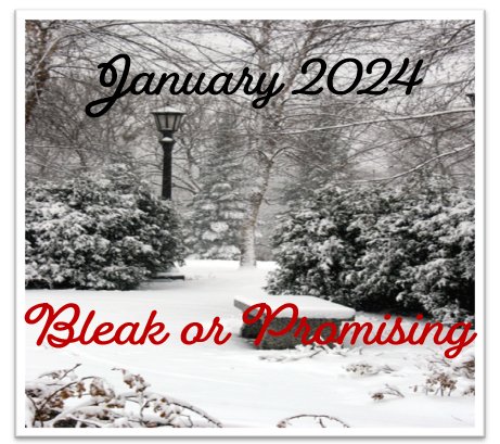 January 2024 – Bleak or Promising? | Janice Bastani Coaching